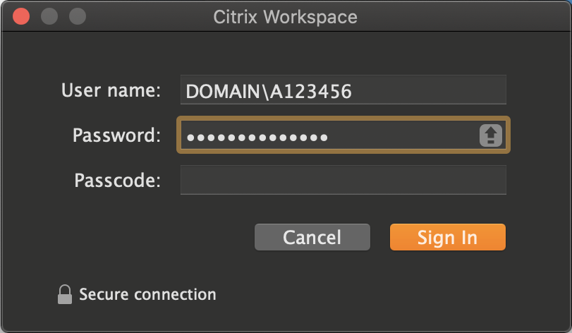 How to Configure Citrix Workspace App - Mac